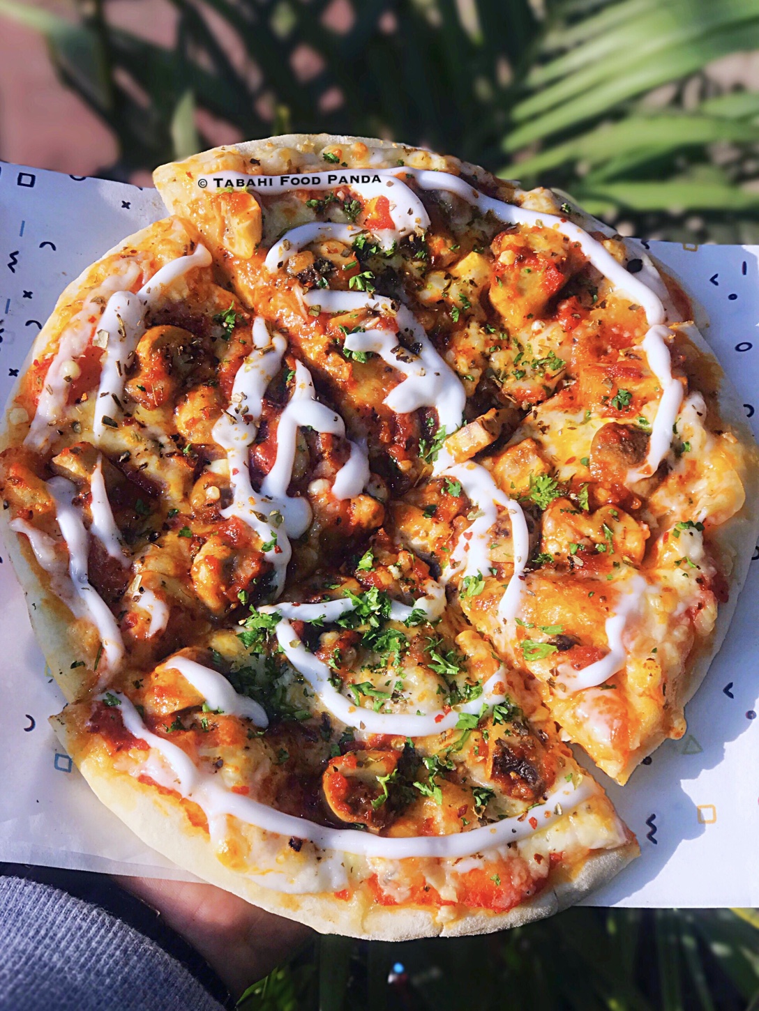 Food Lab, Chandigarh- Combining food and lab. – Tabahi Food Panda
